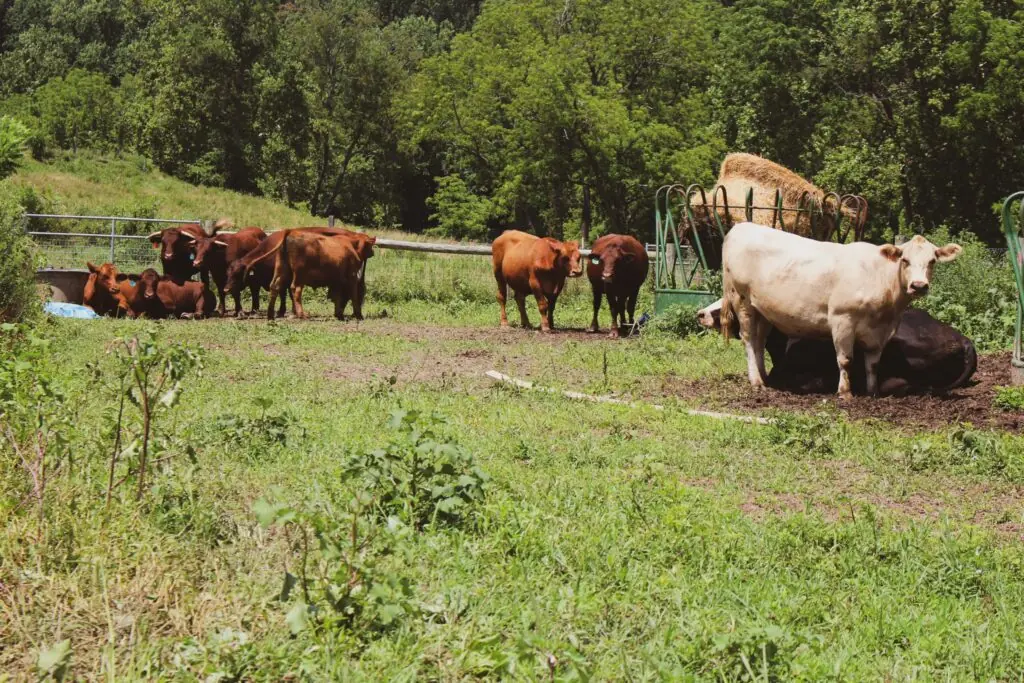 Innkeeper Experience Weekend - Inn at Mary's Land Farm